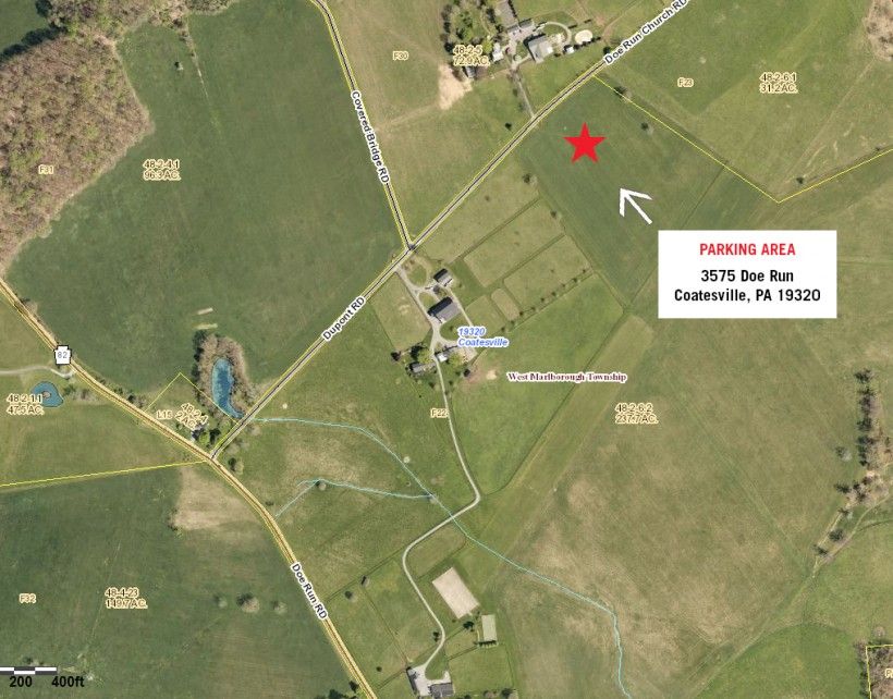 Paper Chase in the Laurels Preserve | Brandywine Conservancy and Museum ...